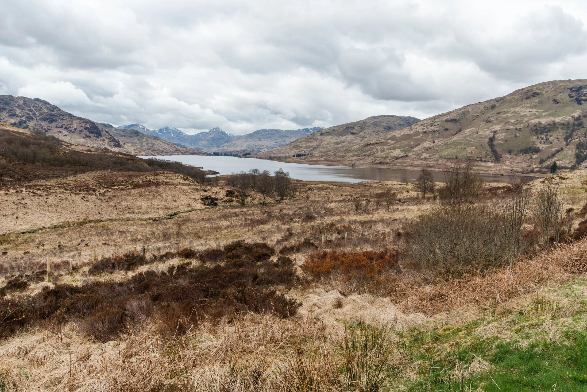 Outlaw Roy Roy MacGregor in National Park — See Loch Lomond :: What to ...