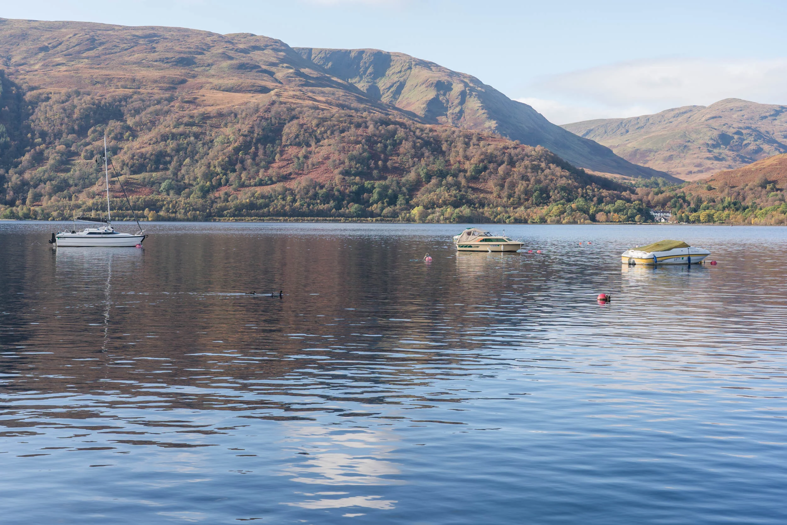 Rowardennan & Ben Lomond, Loch Lomond — See Loch Lomond :: What to do ...