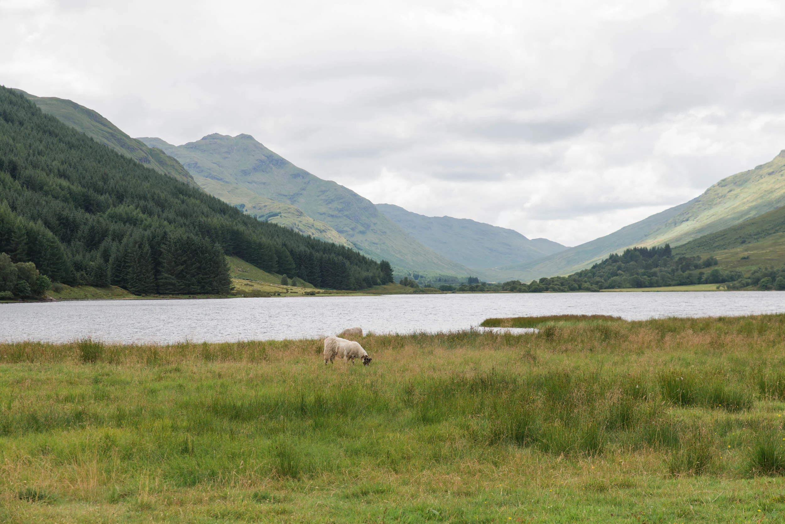 Visit Loch Voil and Loch Doine, Balquhidder — See Loch Lomond :: What ...