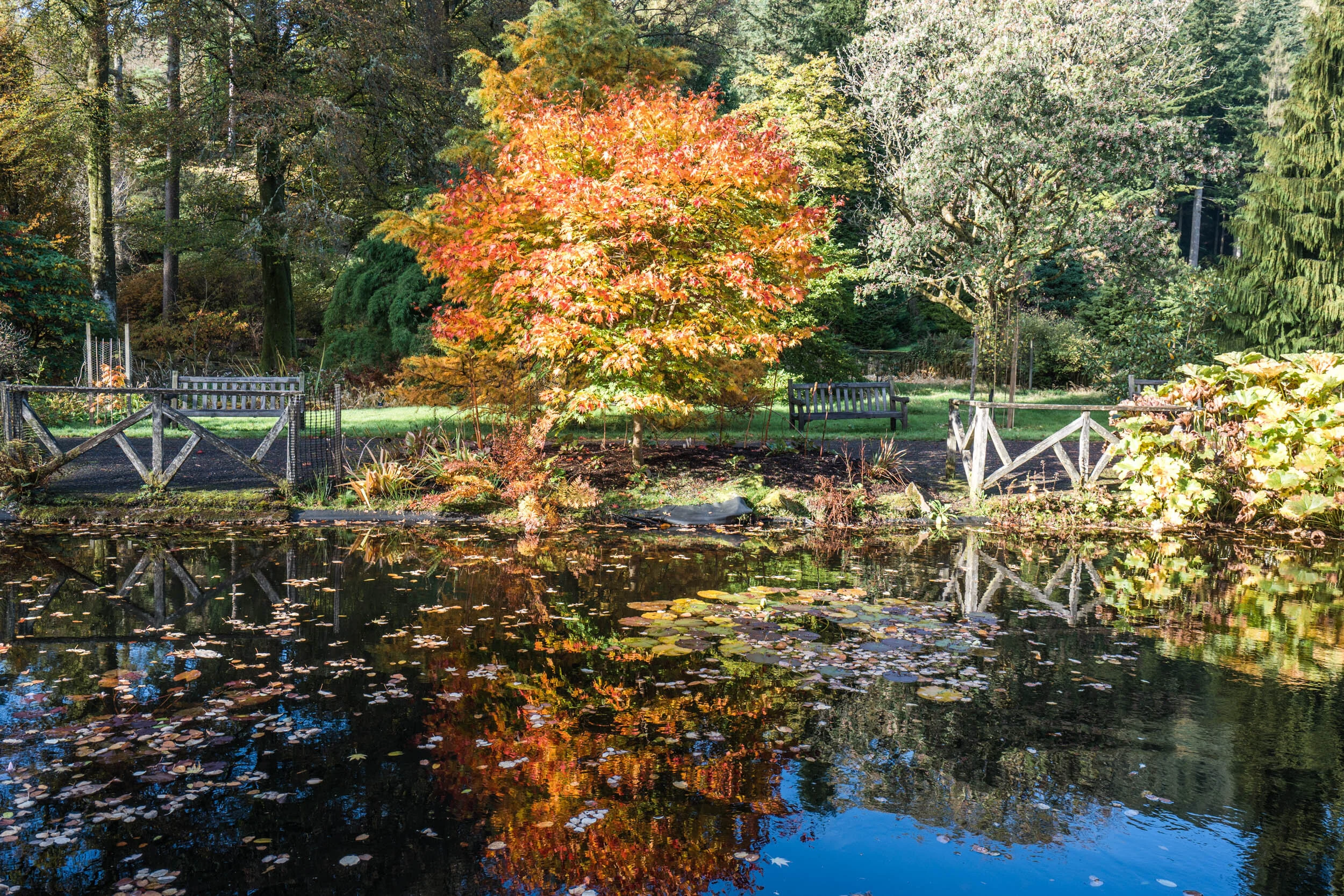 Visit Benmore Botanic Garden, Near Dunoon — See Loch Lomond :: What to ...