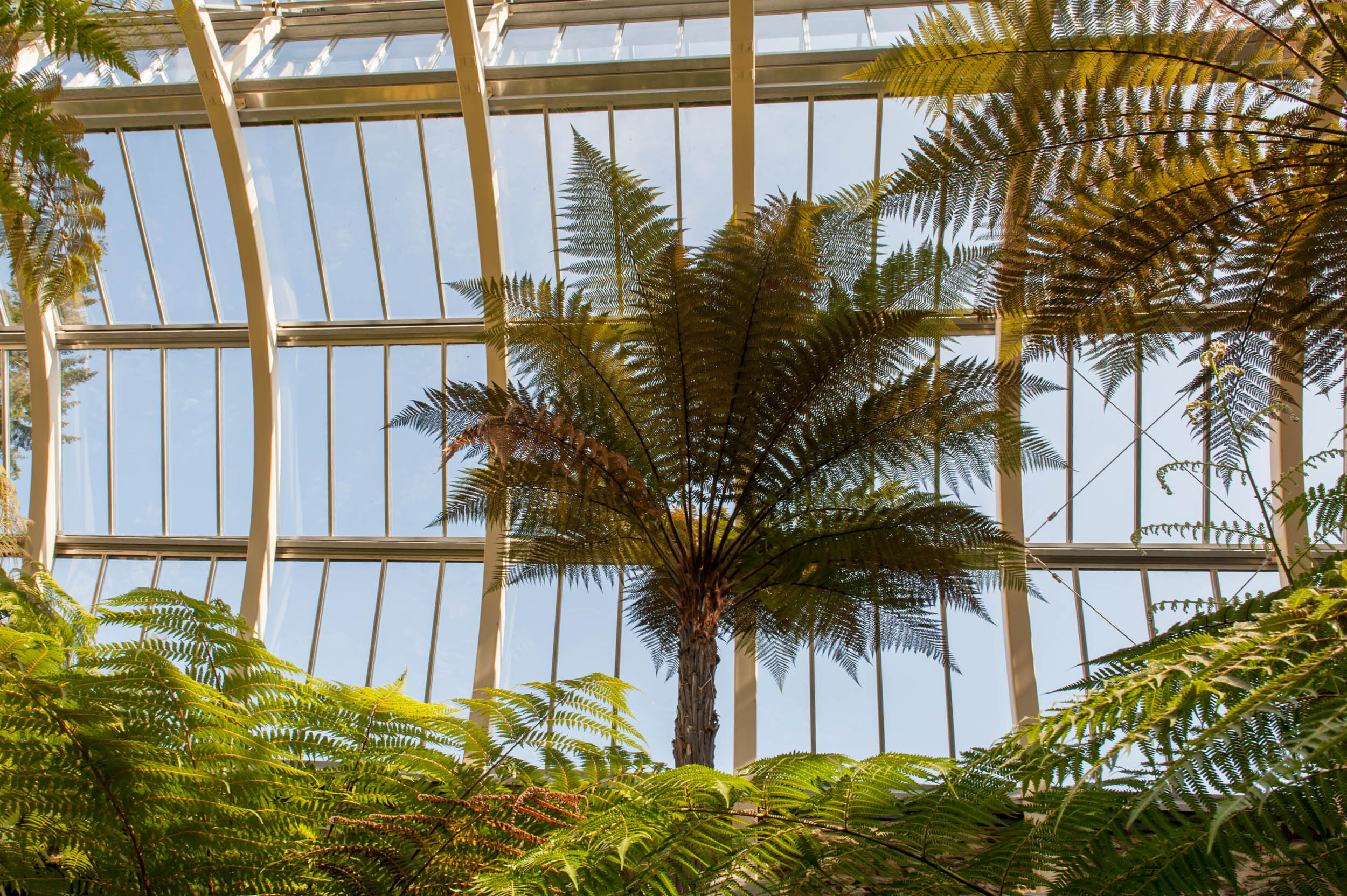 Visit Benmore Botanic Garden, Near Dunoon — See Loch Lomond :: What to ...