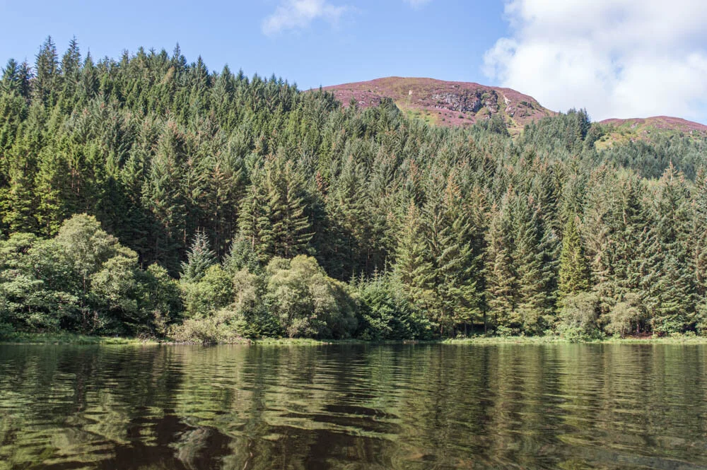 Visit Loch Chon in the Trossachs — See Loch Lomond :: What to do in ...
