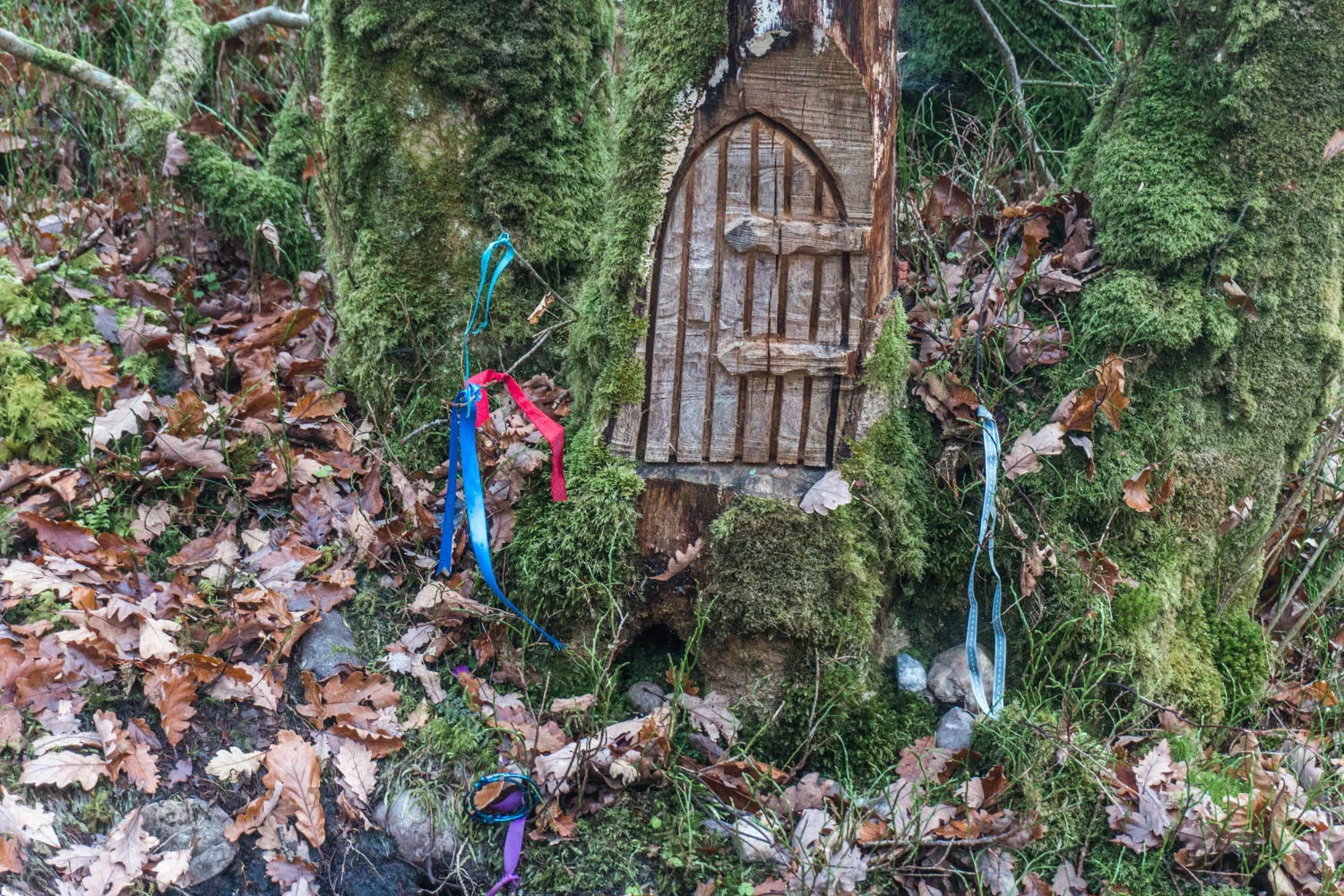 Walking Guide for Doon Hill, Aberfoyle — See Loch Lomond :: What to do ...