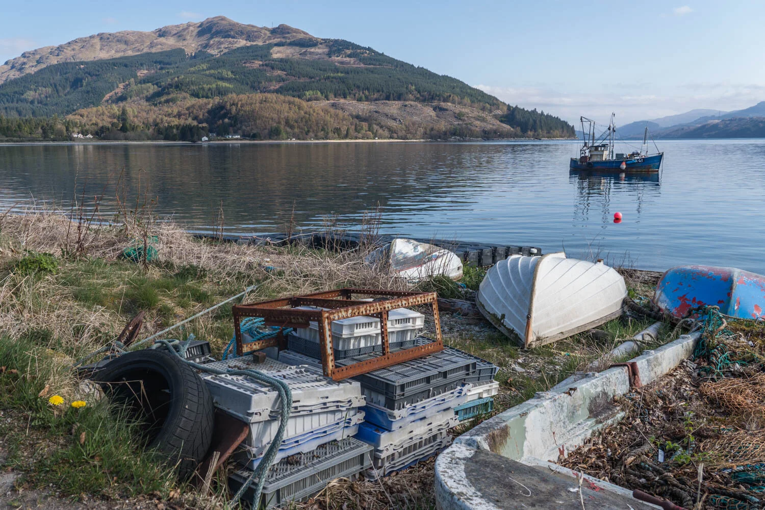 Cowal Peninsula Highlights, Argyll Forest — See Loch Lomond :: What to ...