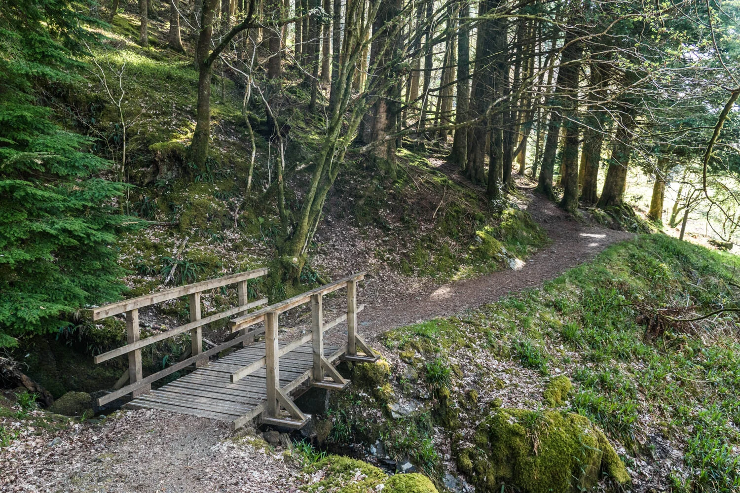 Visit Kilmun, Cowal Peninsula, Argyll Forest — See Loch Lomond :: What ...