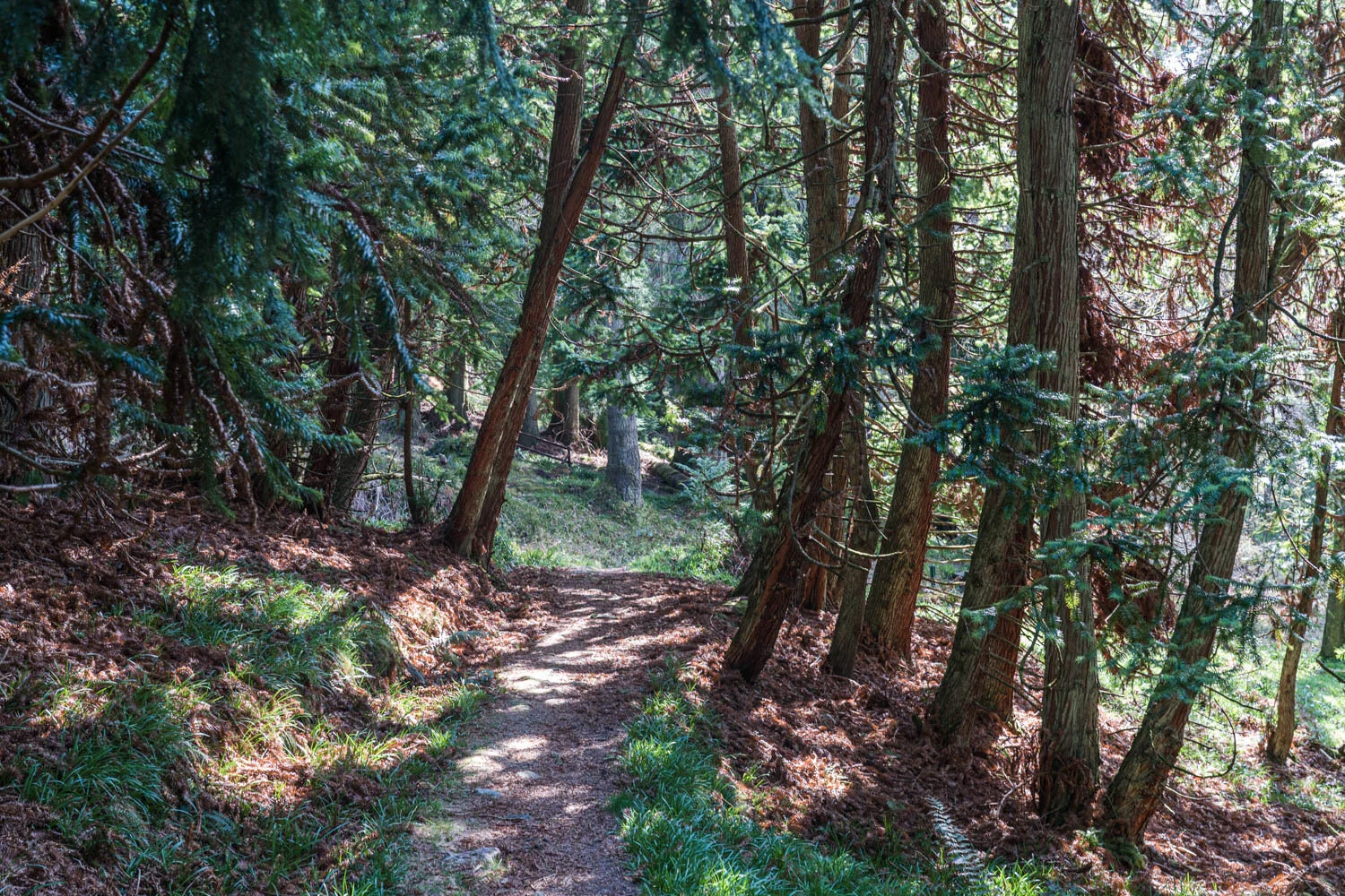 Visit Kilmun, Cowal Peninsula, Argyll Forest — See Loch Lomond :: What ...