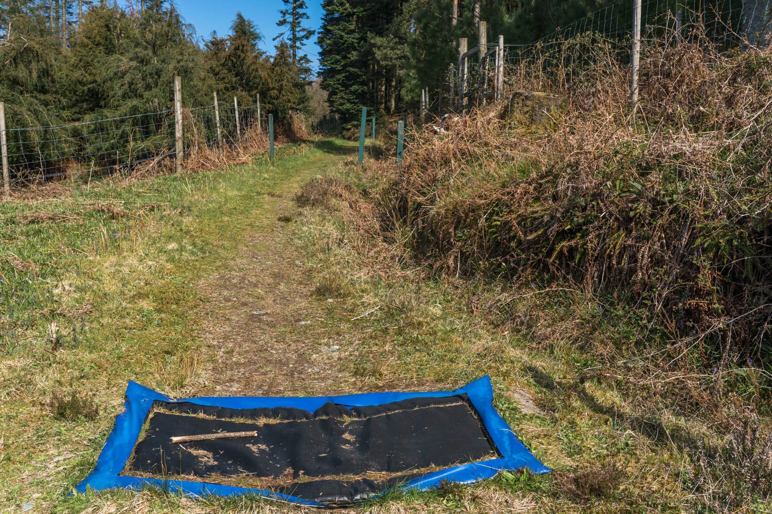 Kilmun Arboretum, Cowal Peninsula, Argyll — See Loch Lomond :: What to ...
