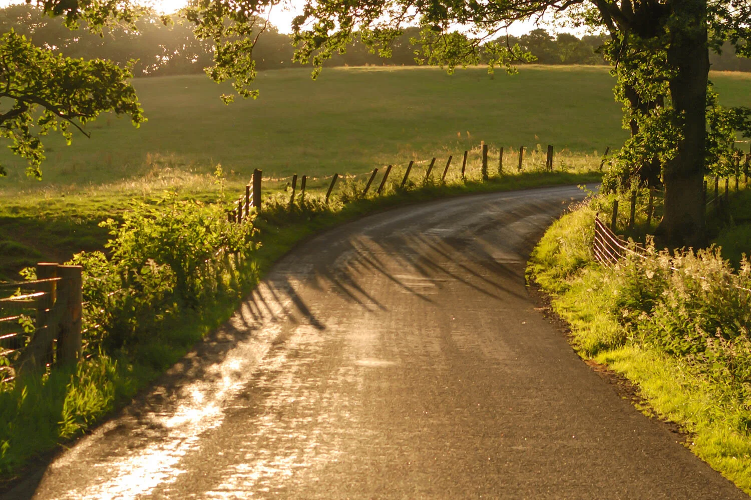 Top 10 Scenic Roads Loch Lomond — See Loch Lomond :: What to do in Loch ...