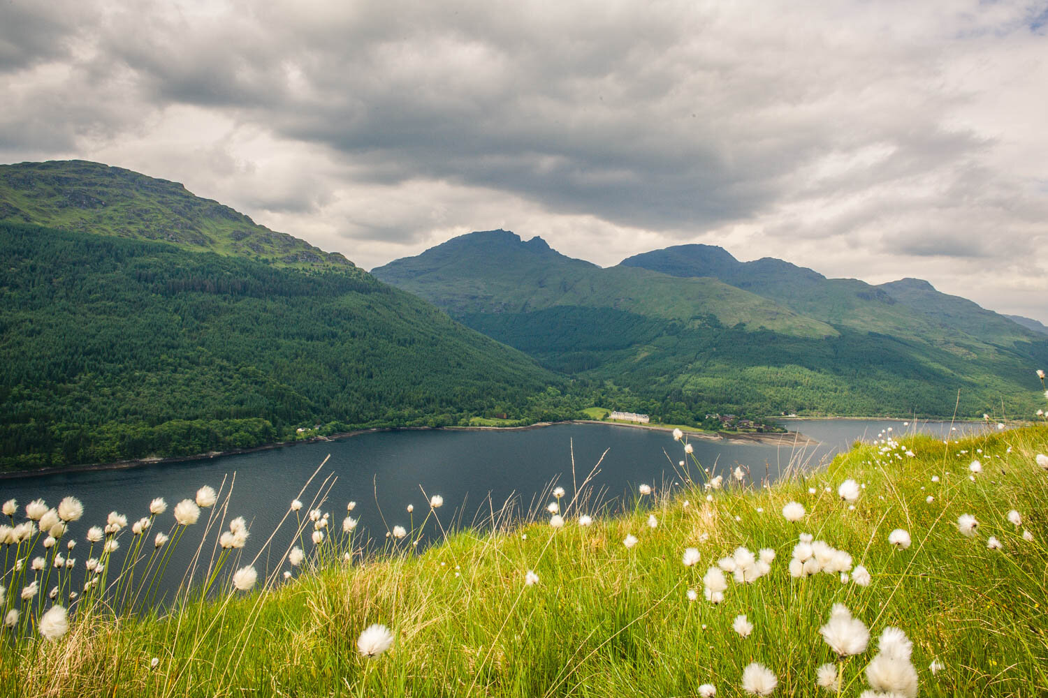 Loch Long, Argyll Forest, Loch Lomond and Trossachs — See Loch Lomond ...
