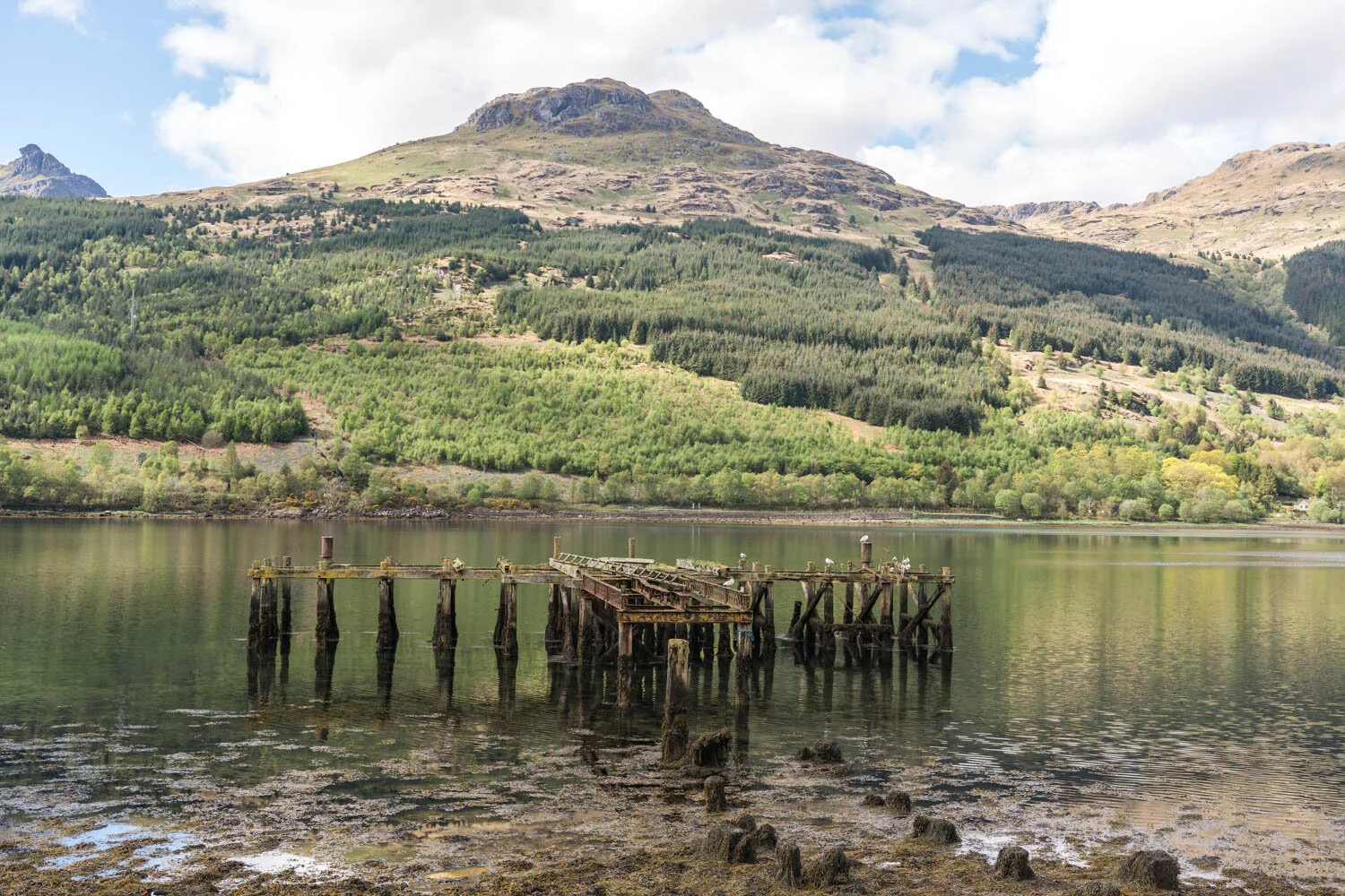 Loch Long, Argyll Forest, Loch Lomond and Trossachs — See Loch Lomond ...