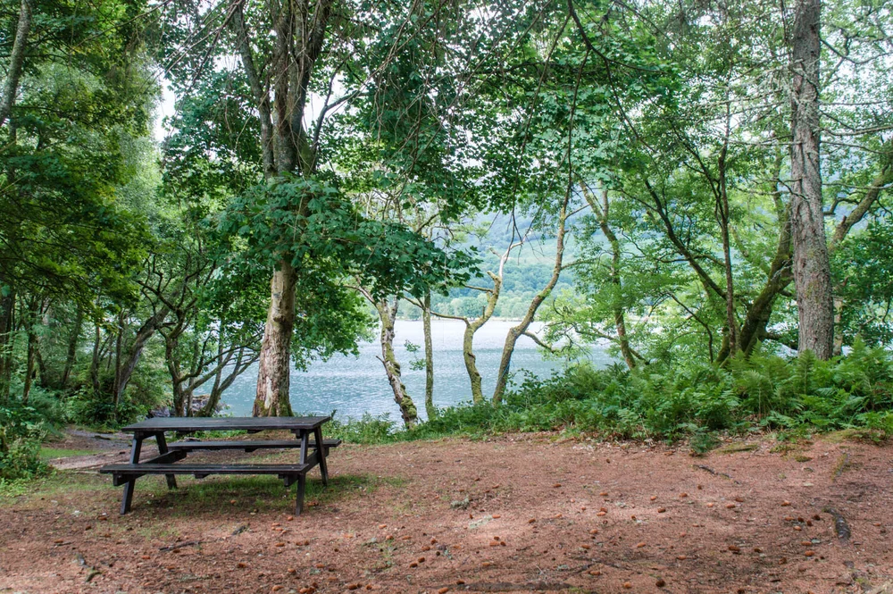 Explore Loch Ard, by Aberfoyle in the Trossachs — See Loch Lomond ...