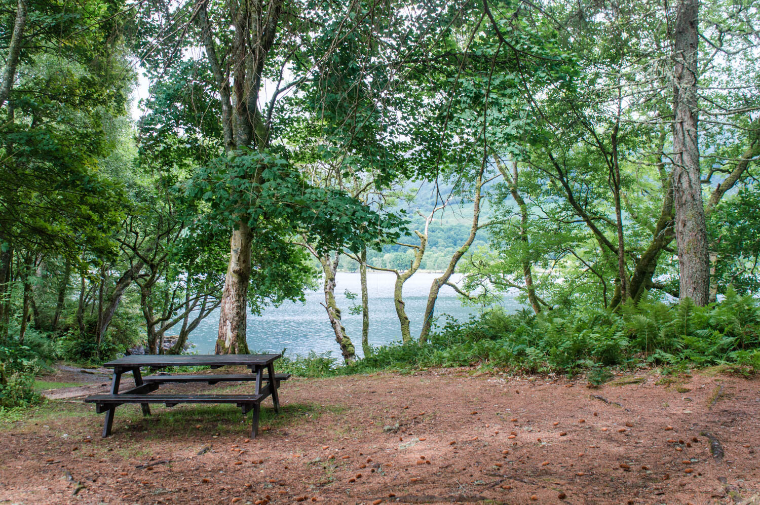 Explore Loch Ard, by Aberfoyle in the Trossachs — See Loch Lomond ...