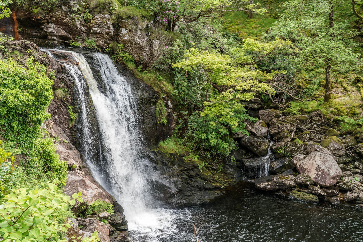 Inversnaid on the West Highland Way — See Loch Lomond :: What to do in ...