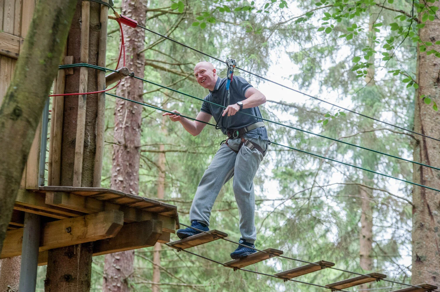 The Lodge Forest Visitor Centre, Aberfoyle — See Loch Lomond :: What to ...