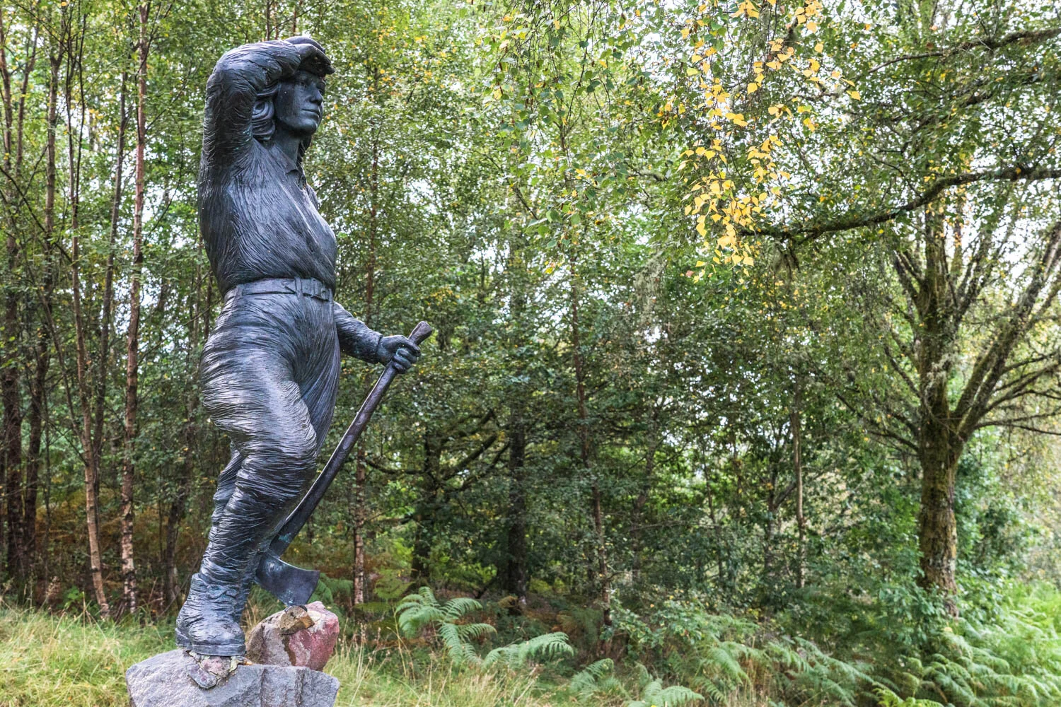 The Lodge Forest Visitor Centre, Aberfoyle — See Loch Lomond :: What to ...