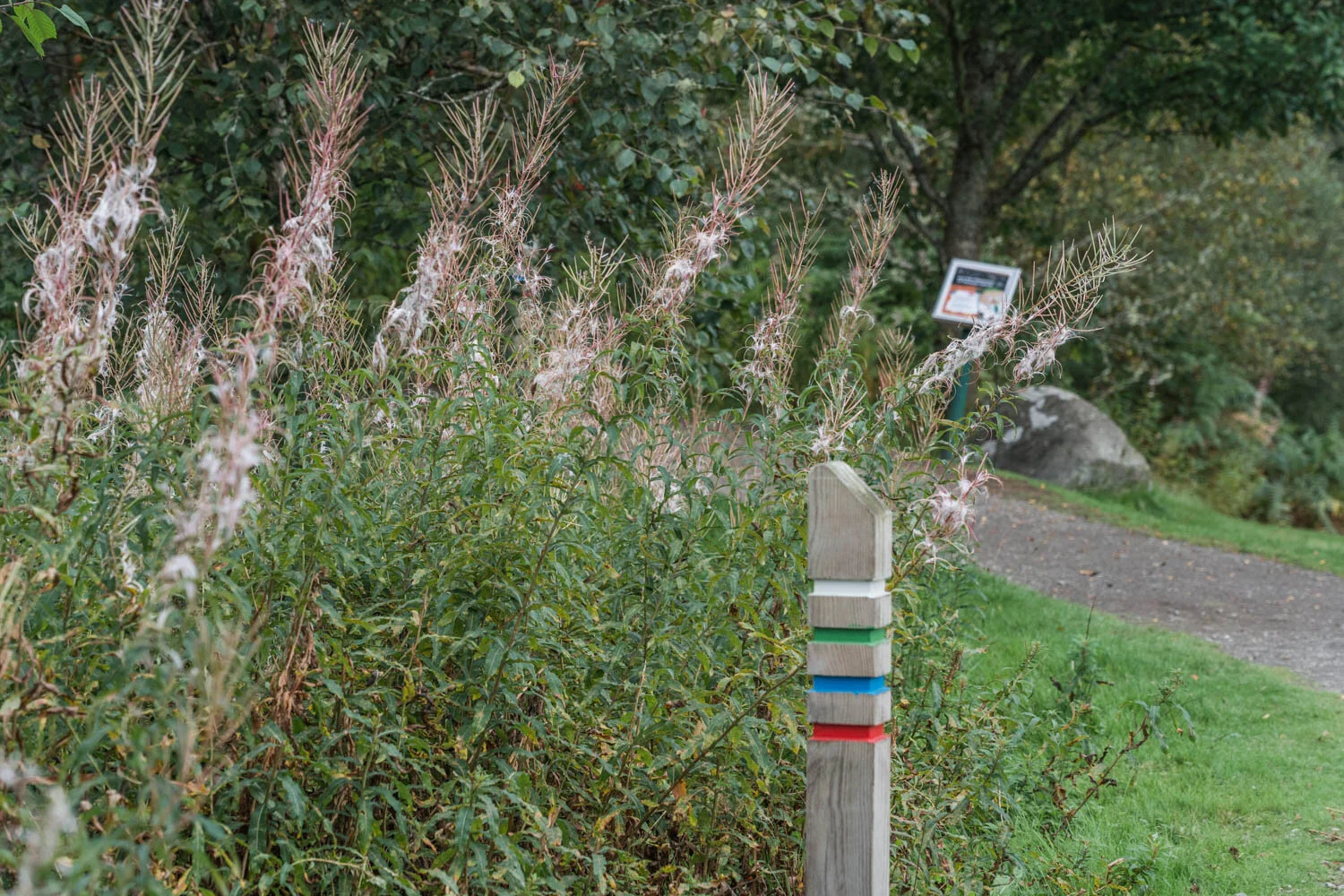 The Lodge Forest Visitor Centre, Aberfoyle — See Loch Lomond :: What to ...