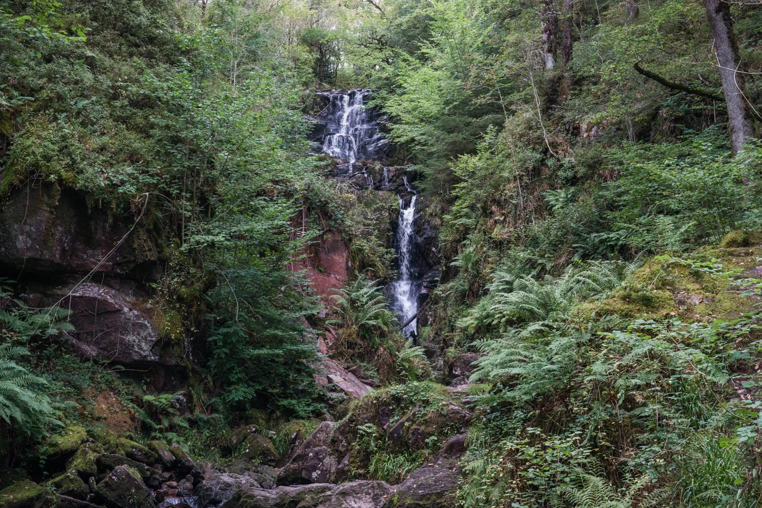 Top Waterfalls, National Park — See Loch Lomond :: What to do in Loch ...