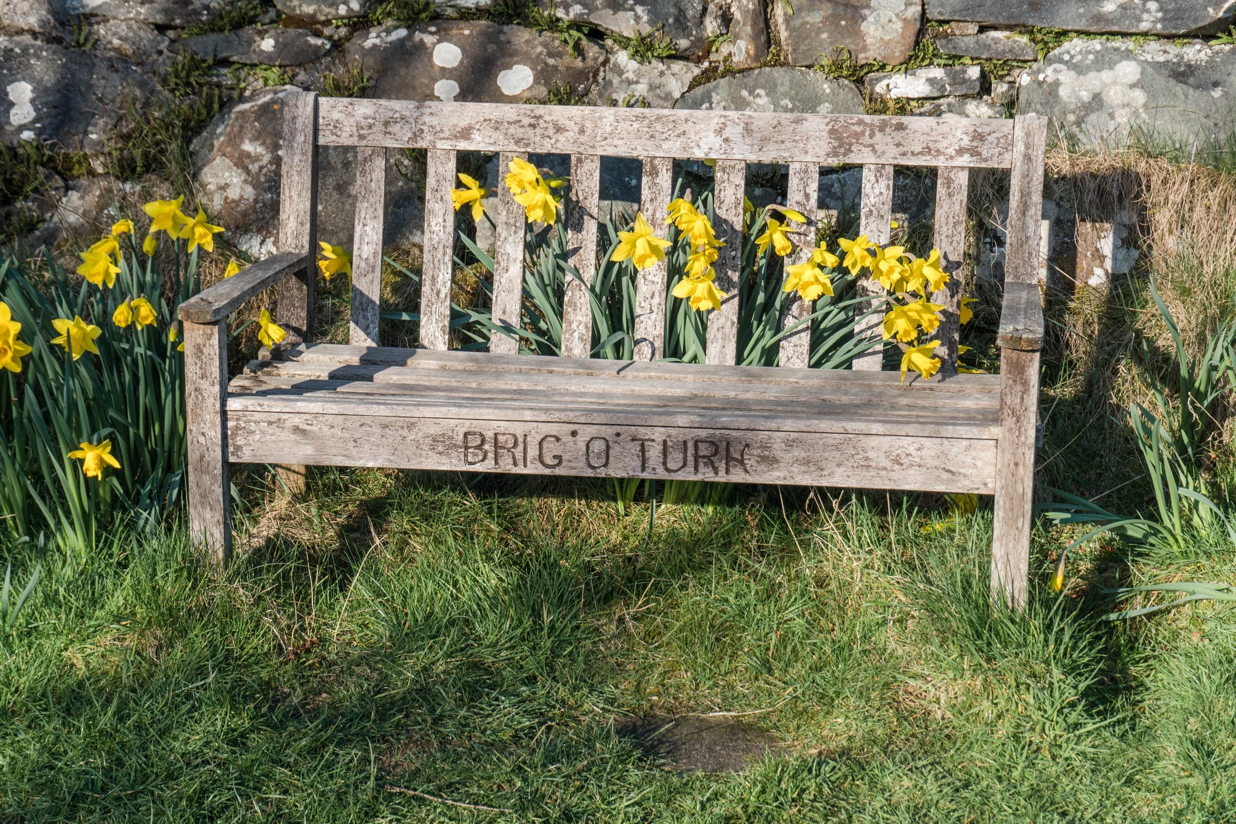 Lendrick Hill Walk, The Trossachs — See Loch Lomond :: What to do in ...