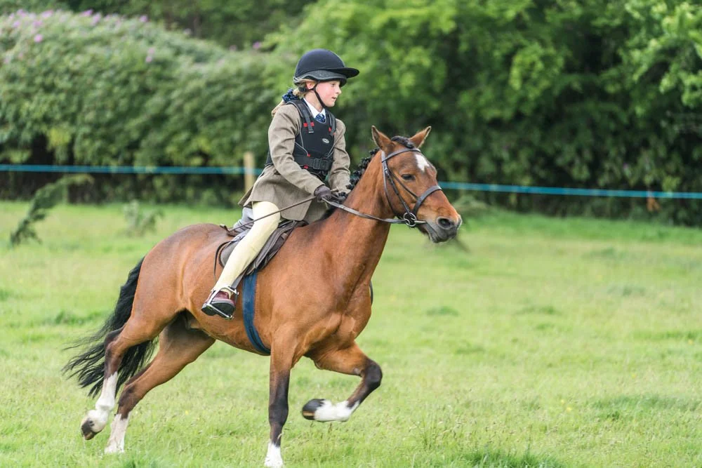 What to see and do at Drymen Show — See Loch Lomond :: What to do in ...