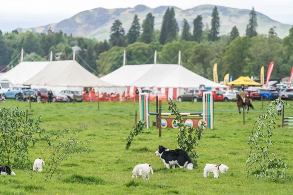 What to see and do at Drymen Show — See Loch Lomond :: What to do in ...