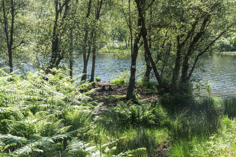 Lochan Spling Trail, The Trossachs — See Loch Lomond :: What to do in ...