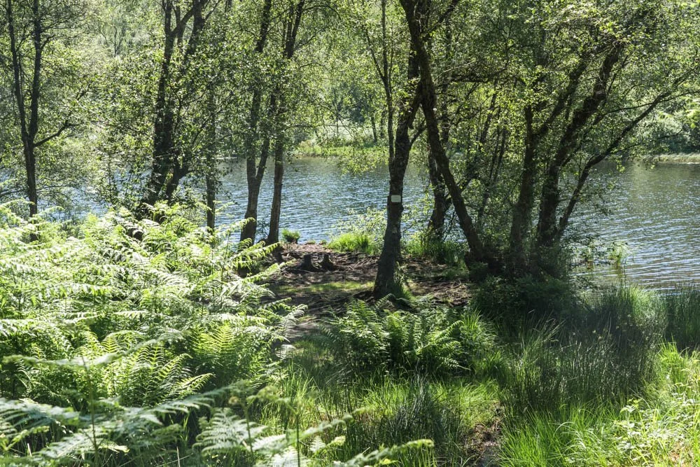 Lochan Spling Trail, The Trossachs — See Loch Lomond :: What to do in ...