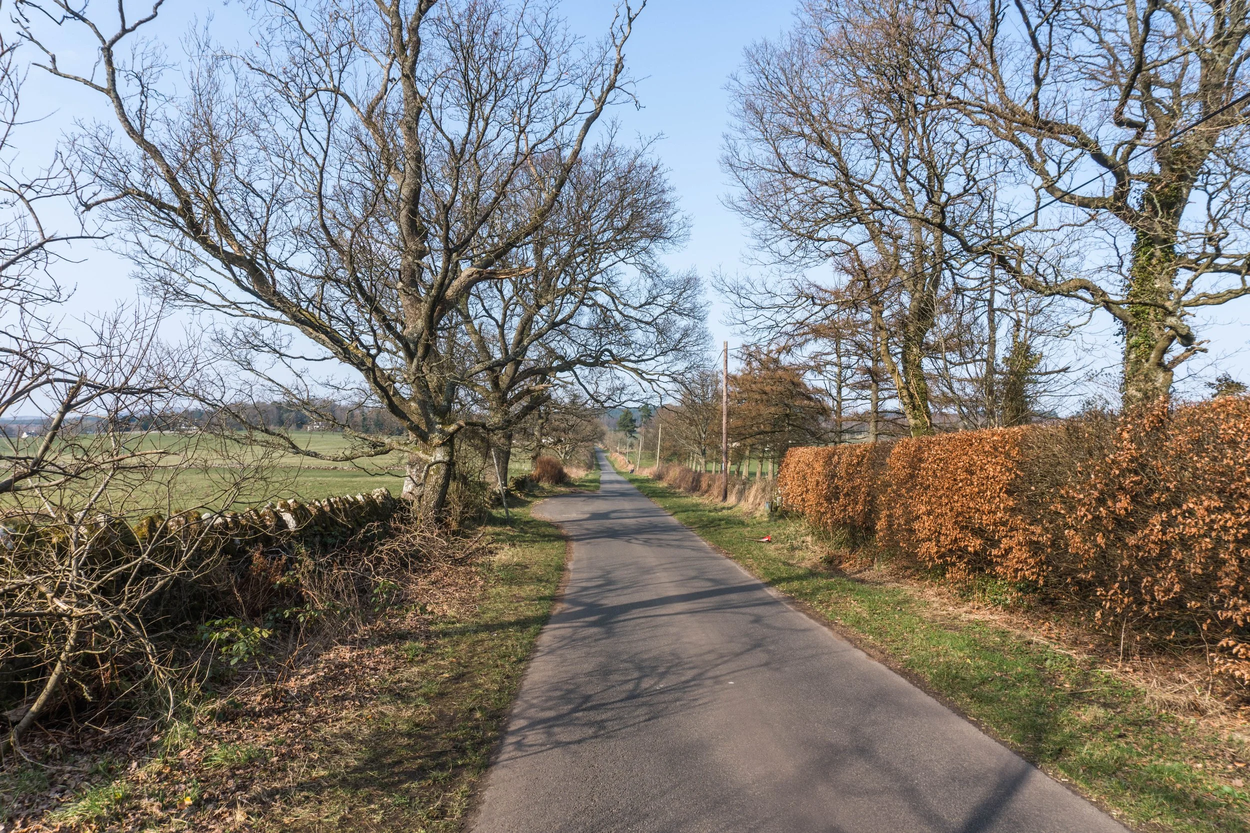 Drymen to Buchanan Walk — See Loch Lomond :: What to do in Loch Lomond ...