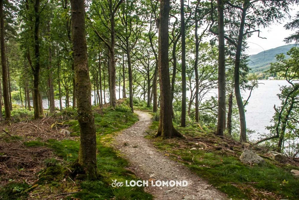 Explore Loch Ard, by Aberfoyle in the Trossachs — See Loch Lomond ...