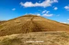 Climb Beinn Dubh, Luss — See Loch Lomond :: What to do in Loch Lomond ...
