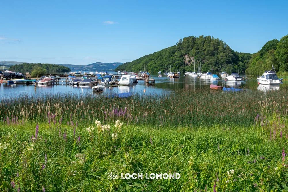 Visit Stirling and Falkirk — See Loch Lomond :: What to do in Loch ...