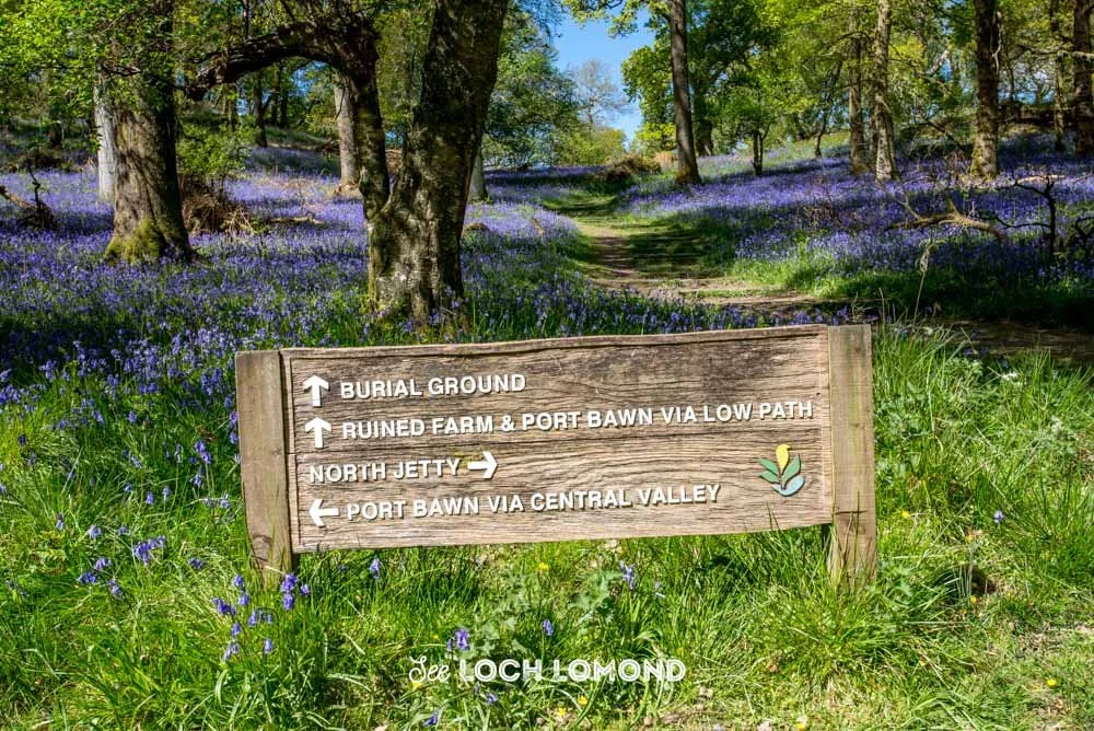 A list of Loch Lomond's 23 Islands — See Loch Lomond :: What to do in ...