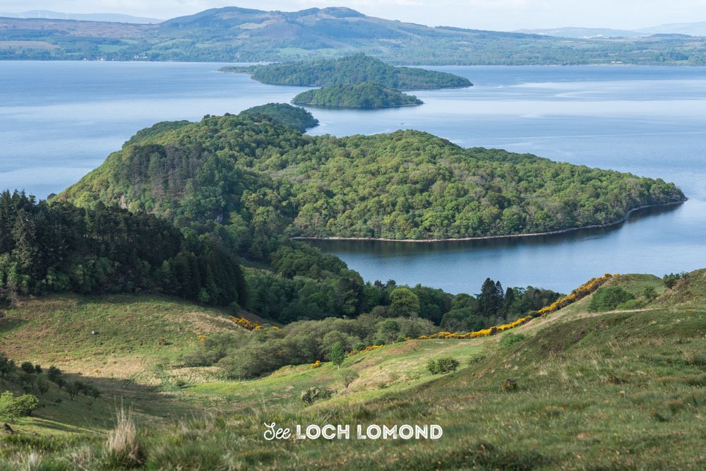 Climb Conic Hill, Balmaha, Loch Lomond — See Loch Lomond :: What to do ...