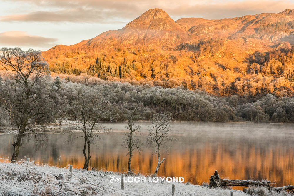 Amazing Scottish Lochs in the Nationl Park — See Loch Lomond :: What to ...