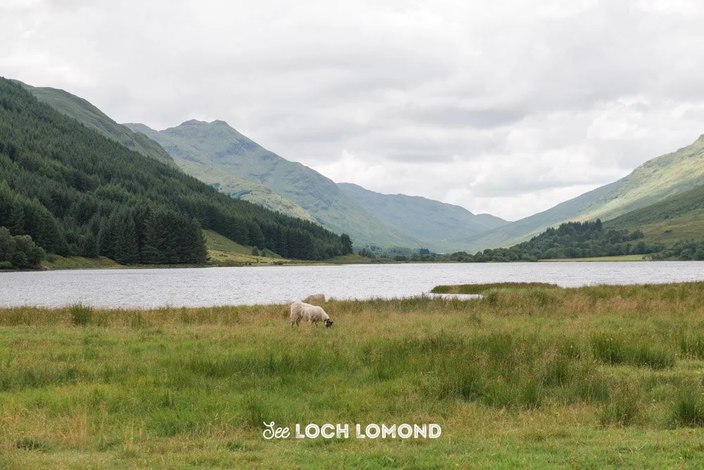 Rob Roy MacGregor Guide: Historic Sites — See Loch Lomond :: What to do ...