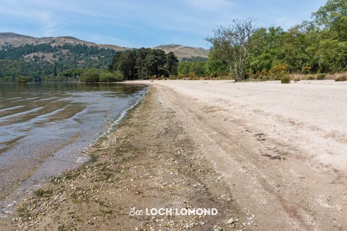 A list of Loch Lomond's 23 Islands — See Loch Lomond :: What to do in ...