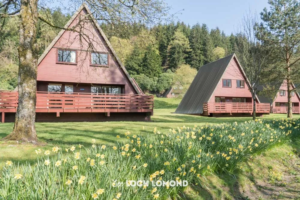 Loch Goil Visitor Guide — See Loch Lomond :: What to do in Loch Lomond ...