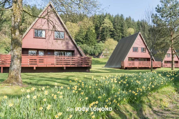 Loch Goil Visitor Guide — See Loch Lomond :: What to do in Loch Lomond ...