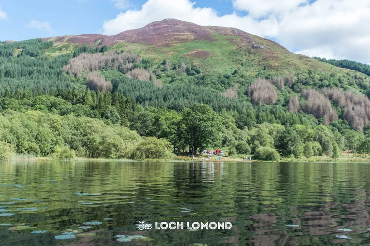 Plan a Trip to The Trossachs — See Loch Lomond :: What to do in Loch ...