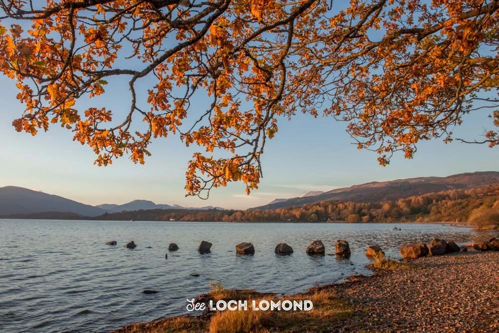 Amazing Scottish Lochs in the Nationl Park — See Loch Lomond :: What to ...