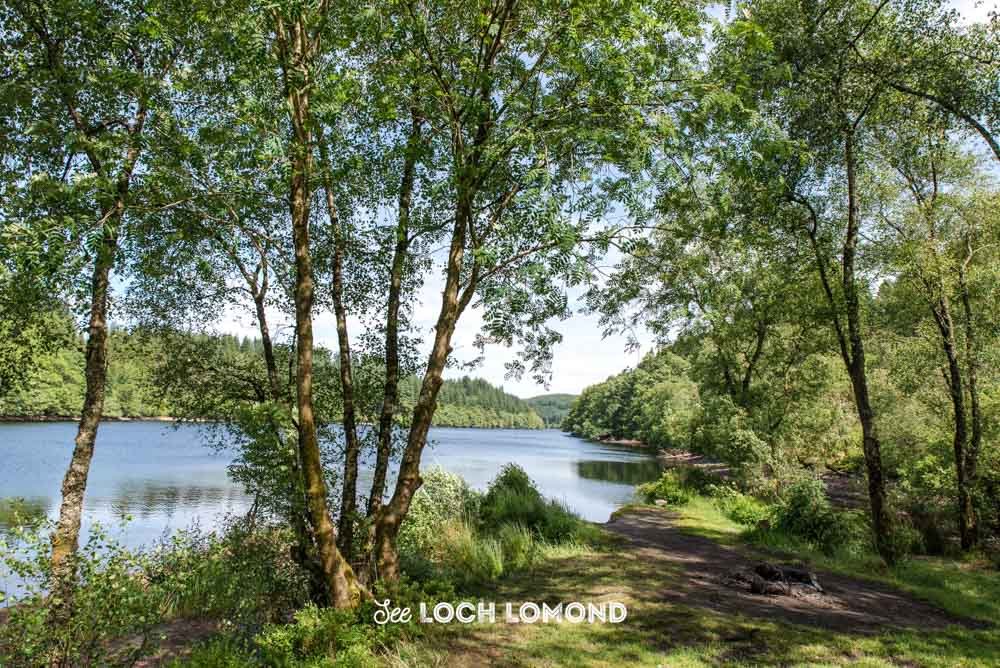Three Lochs Forest Drive — See Loch Lomond :: What to do in Loch Lomond ...