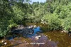Lochan Spling Trail, The Trossachs — See Loch Lomond :: What to do in ...