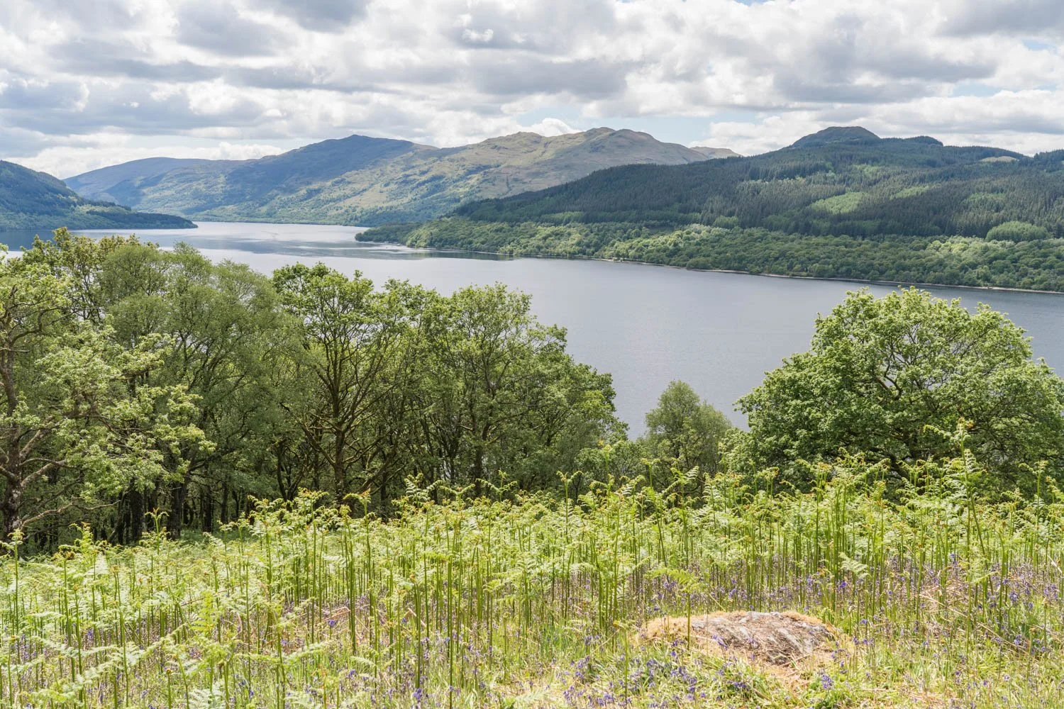Arklet Falls and RSPB Trail at Inversnaid — See Loch Lomond :: What to ...