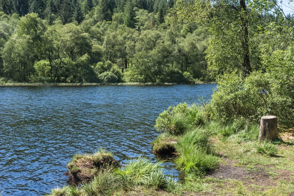 Lochan Spling Trail, The Trossachs — See Loch Lomond :: What to do in ...