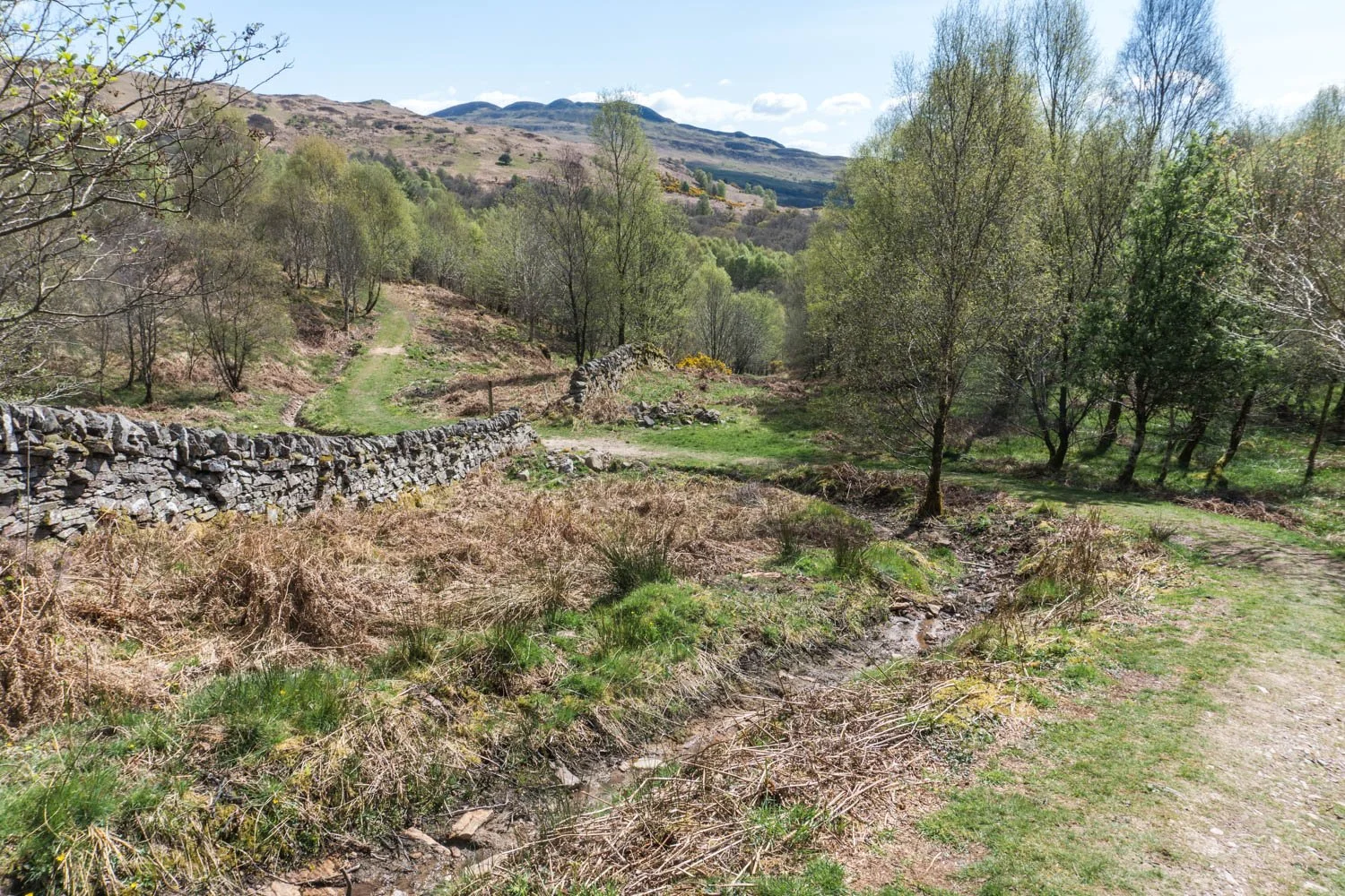 Visit Cashel Forest, East Loch Lomond — See Loch Lomond :: What to do ...