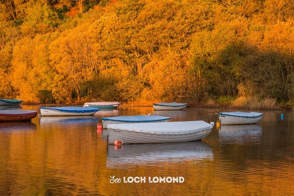 Loch Lomond & Trossachs in Autumn — See Loch Lomond :: What to do in ...