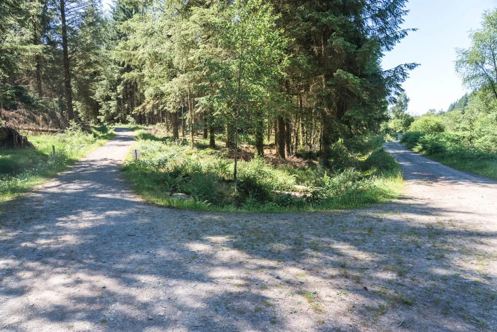 Lochan Spling Trail, The Trossachs — See Loch Lomond :: What to do in ...