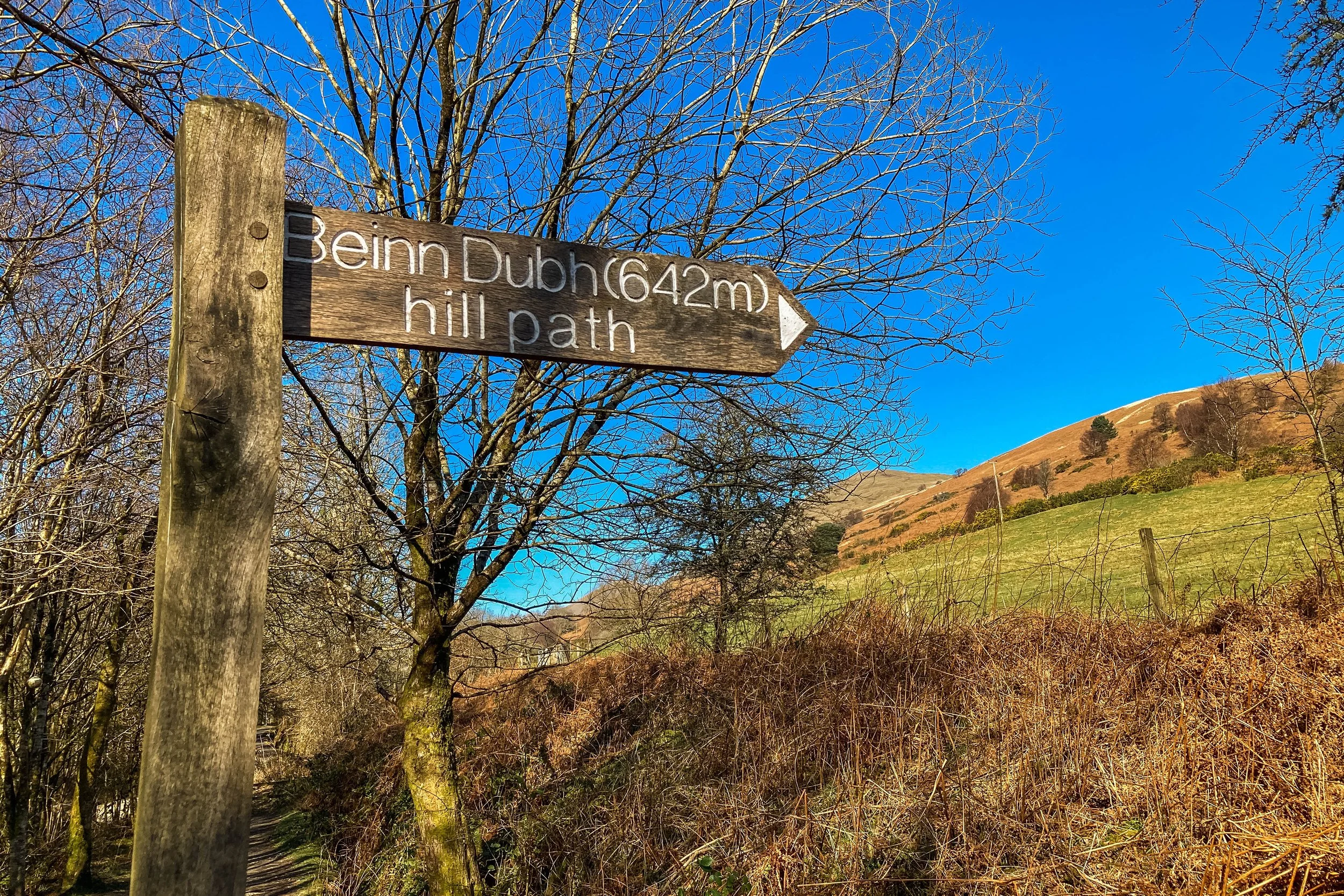 Climb Beinn Dubh, Luss — See Loch Lomond :: What to do in Loch Lomond ...