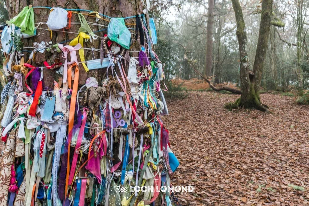 Visit Aberfoyle, Gateway to the Trossachs — See Loch Lomond :: What to ...