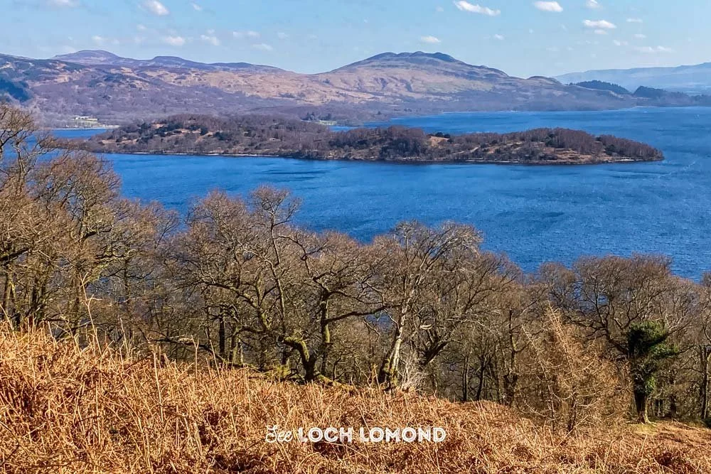 Climb Beinn Dubh, Luss — See Loch Lomond :: What to do in Loch Lomond ...