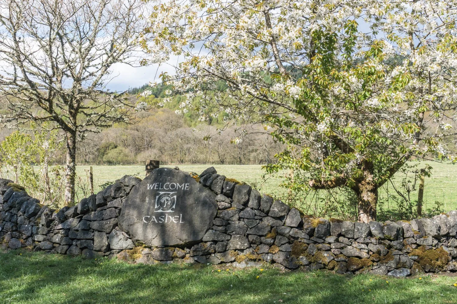 Visit Cashel Forest, East Loch Lomond — See Loch Lomond :: What to do ...